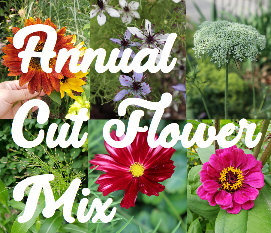 Annual Cut Flower Mix-5 Varieties | Hana Earth Gardens