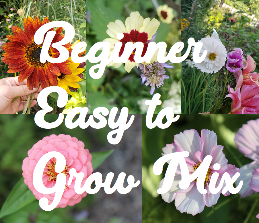 Beginner Easy to Grow Mix-5 Varieties | Hana Earth Gardens